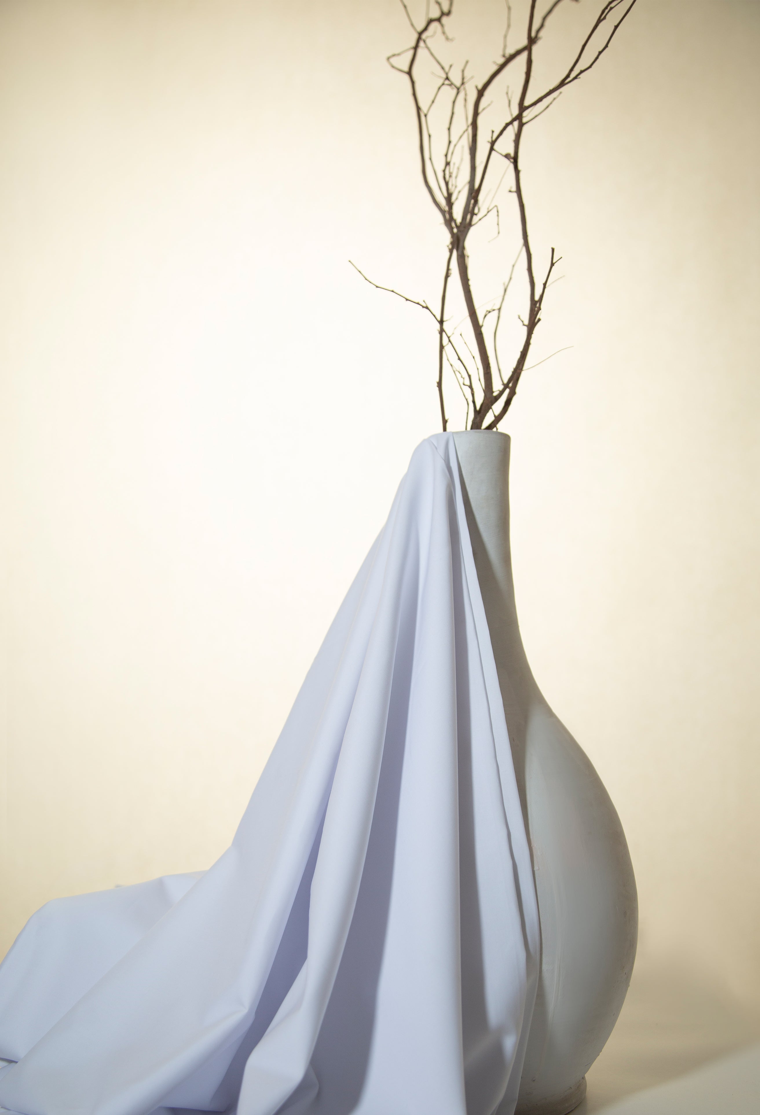 THE CAMBRIDGE SHOP – Cambridge Shop